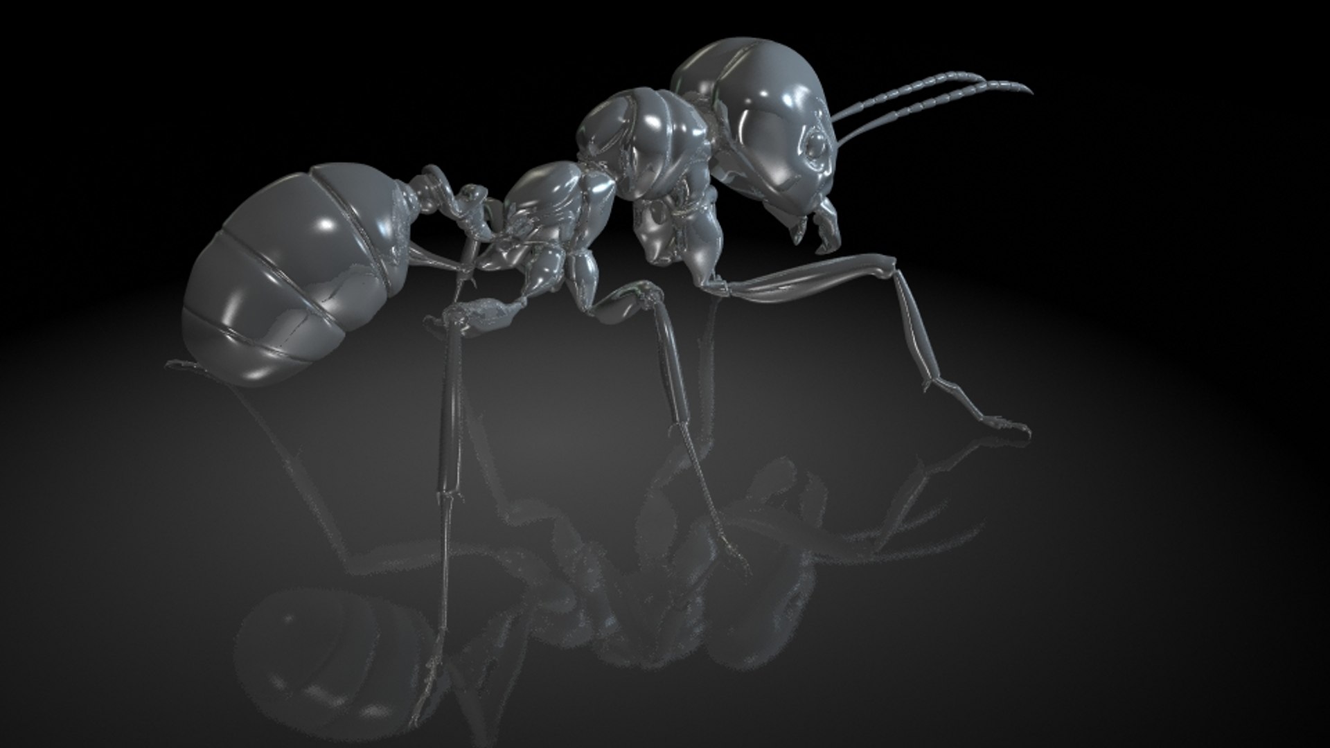 3D Model Insect - TurboSquid 1215080