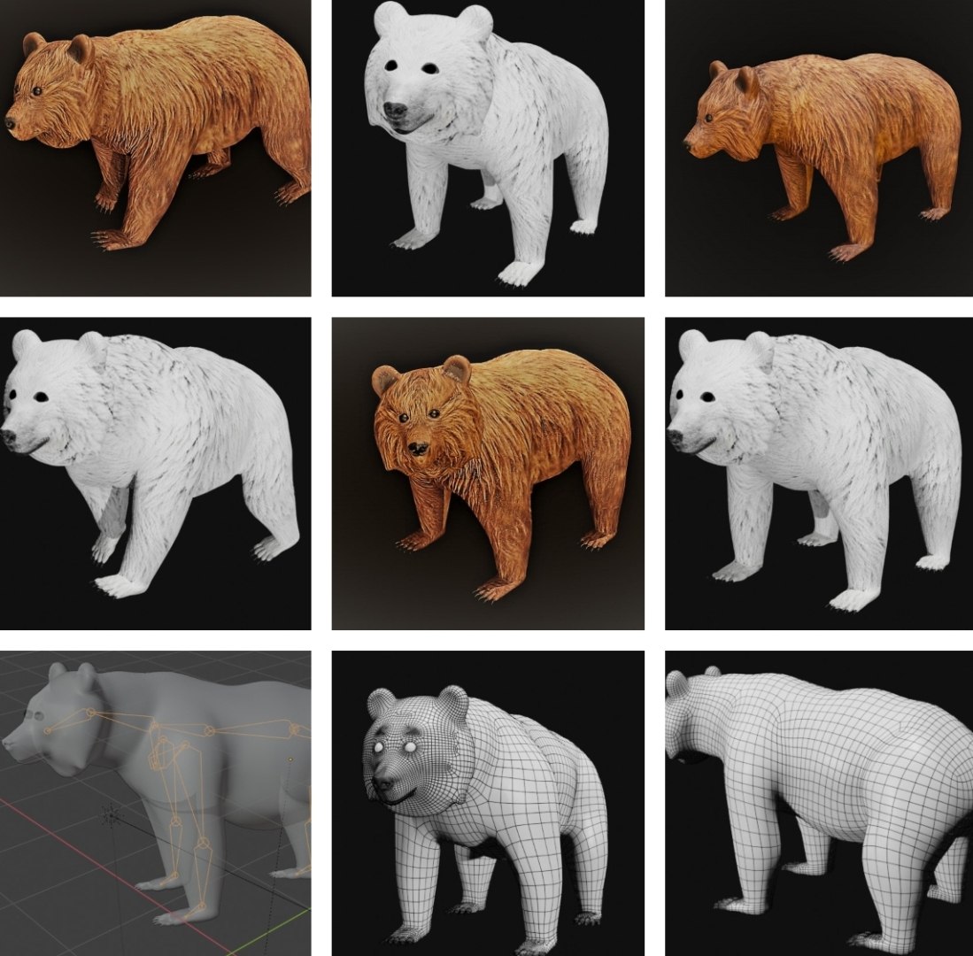 3D Bear Rigged - TurboSquid 1665515