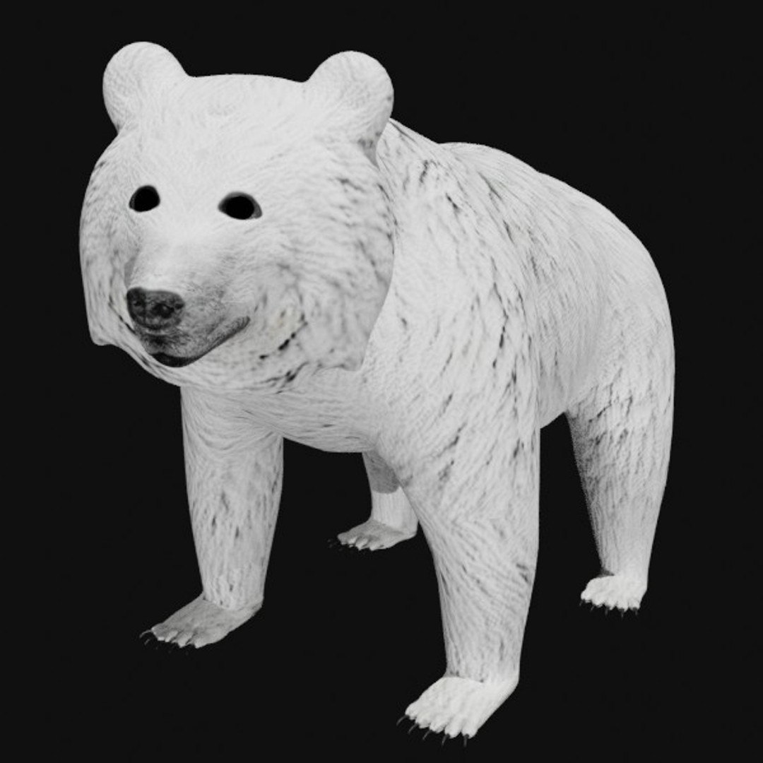 3D Bear Rigged - TurboSquid 1665515