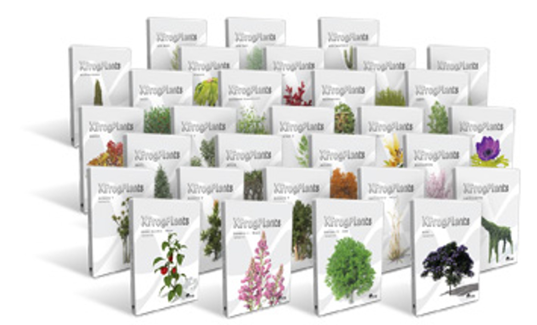 Xfrogplants Plant Flowers 3d Max