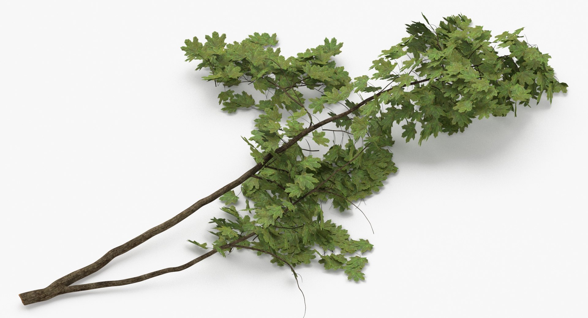 3D Branch 02 Model - TurboSquid 2027247