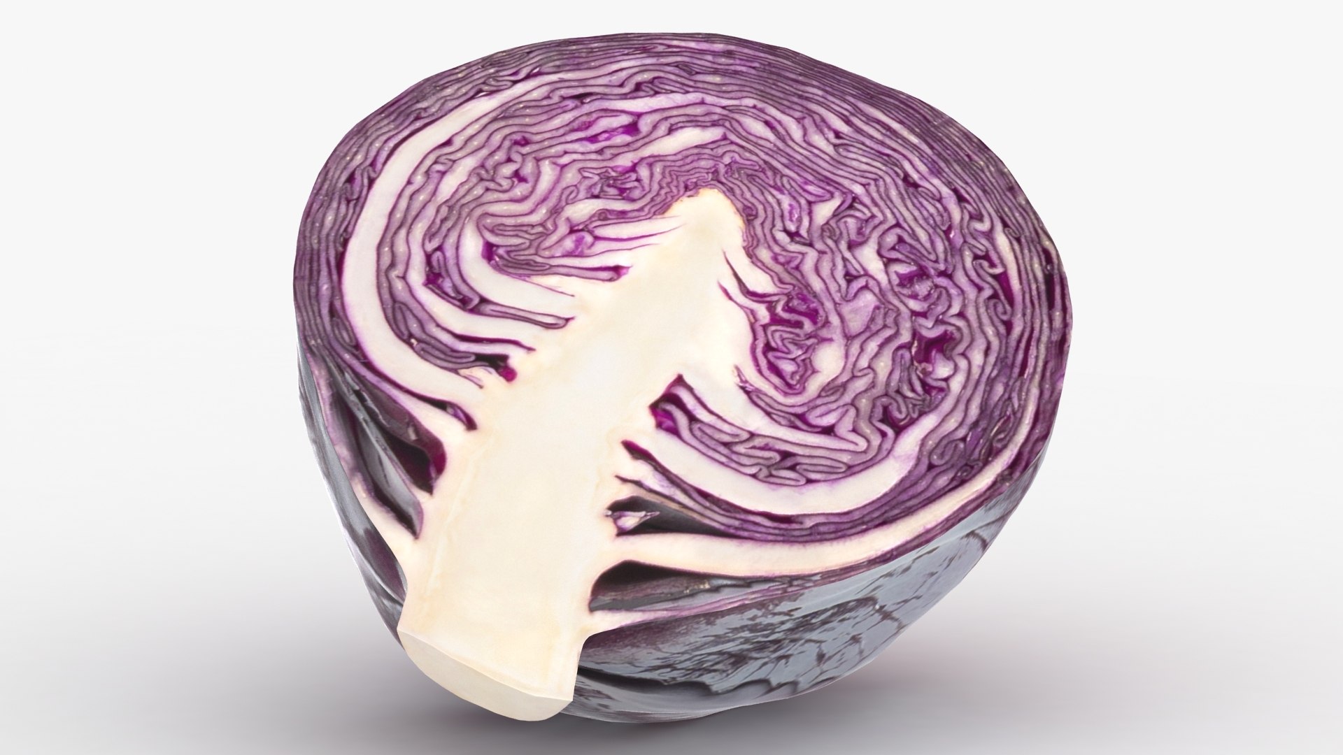 Realistic Half Red Cabbage 3D Model - TurboSquid 1542941