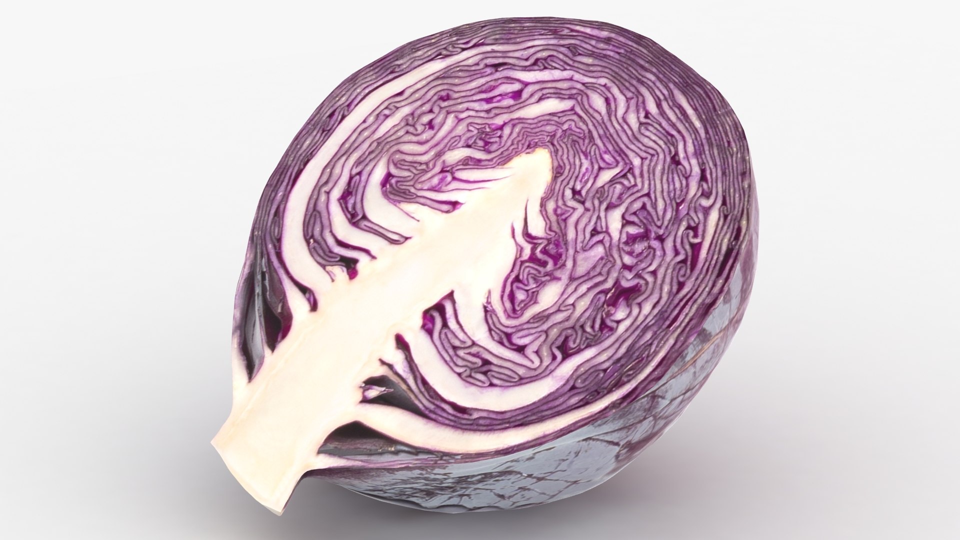 Realistic Half Red Cabbage 3D Model - TurboSquid 1542941