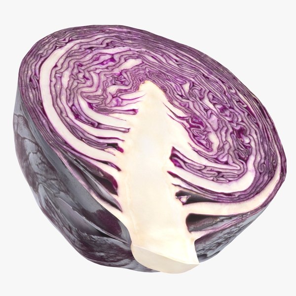 Realistic half red cabbage 3D model - TurboSquid 1542941