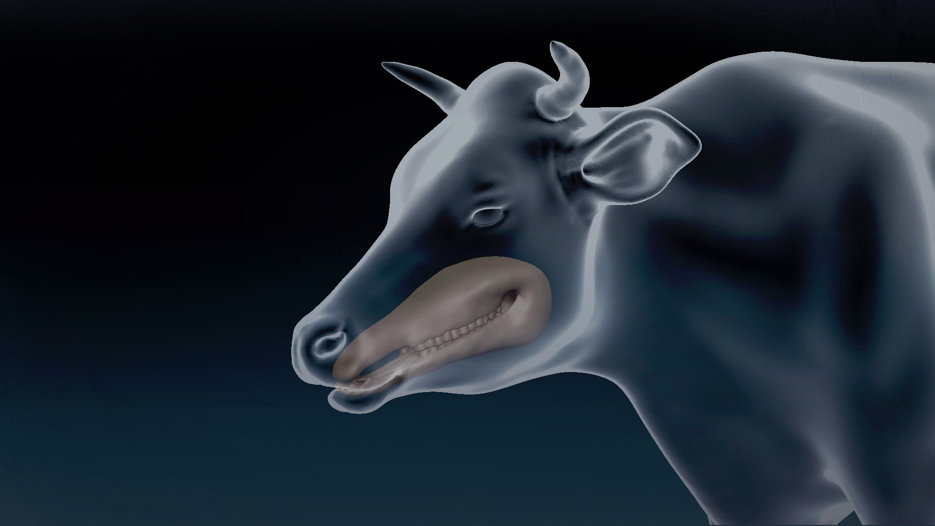 Cow Base Mesh 3D Model - TurboSquid 1823501