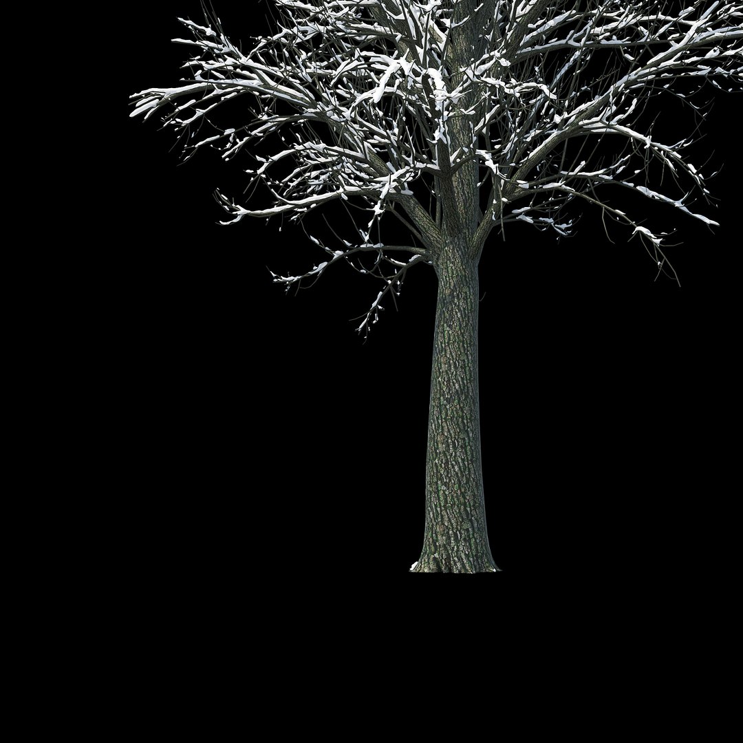 3D Winter Tree 033 Snow - TurboSquid 1237261