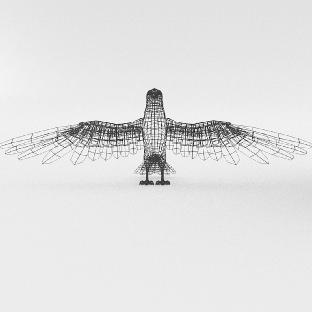 3D Model Hawk - TurboSquid 1316786