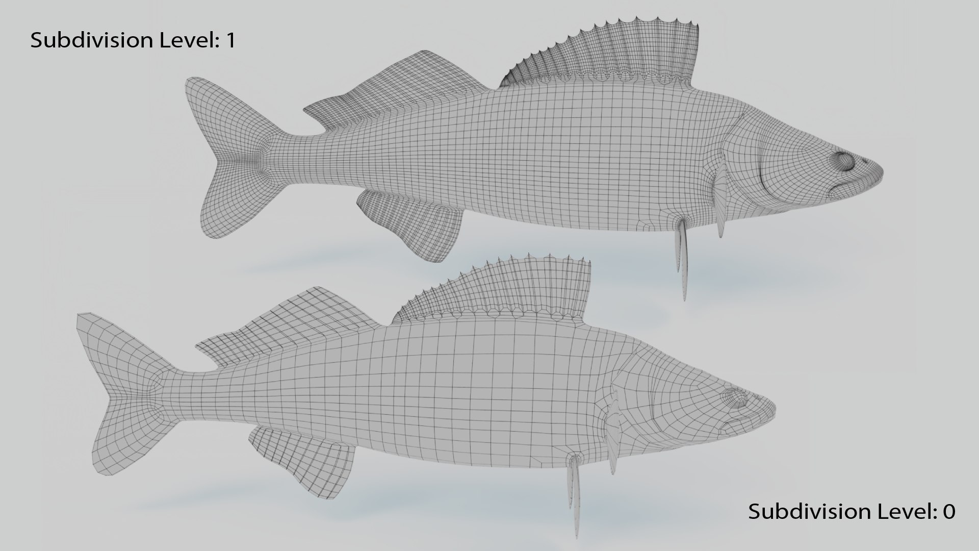 Zander Animated 3D Model - TurboSquid 2400936