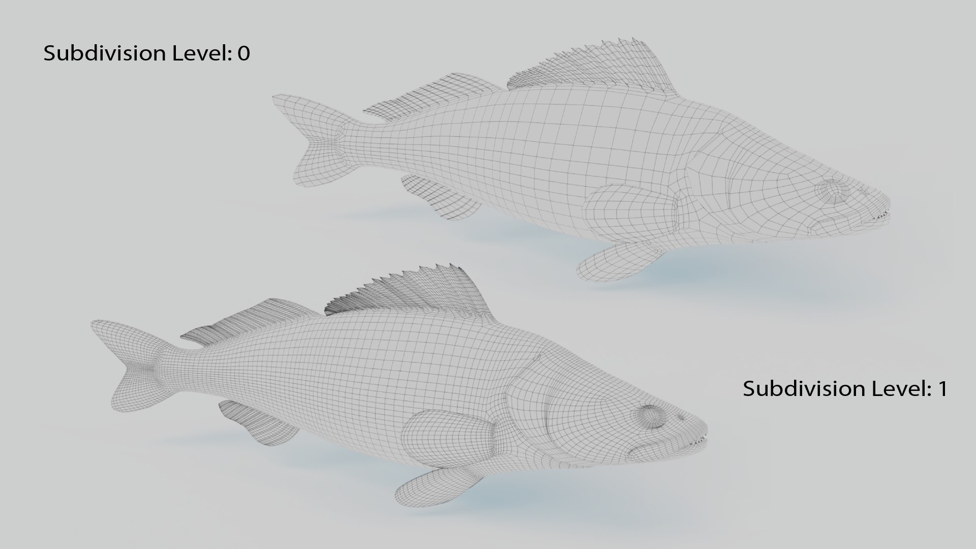Zander Animated 3D Model - TurboSquid 2400936
