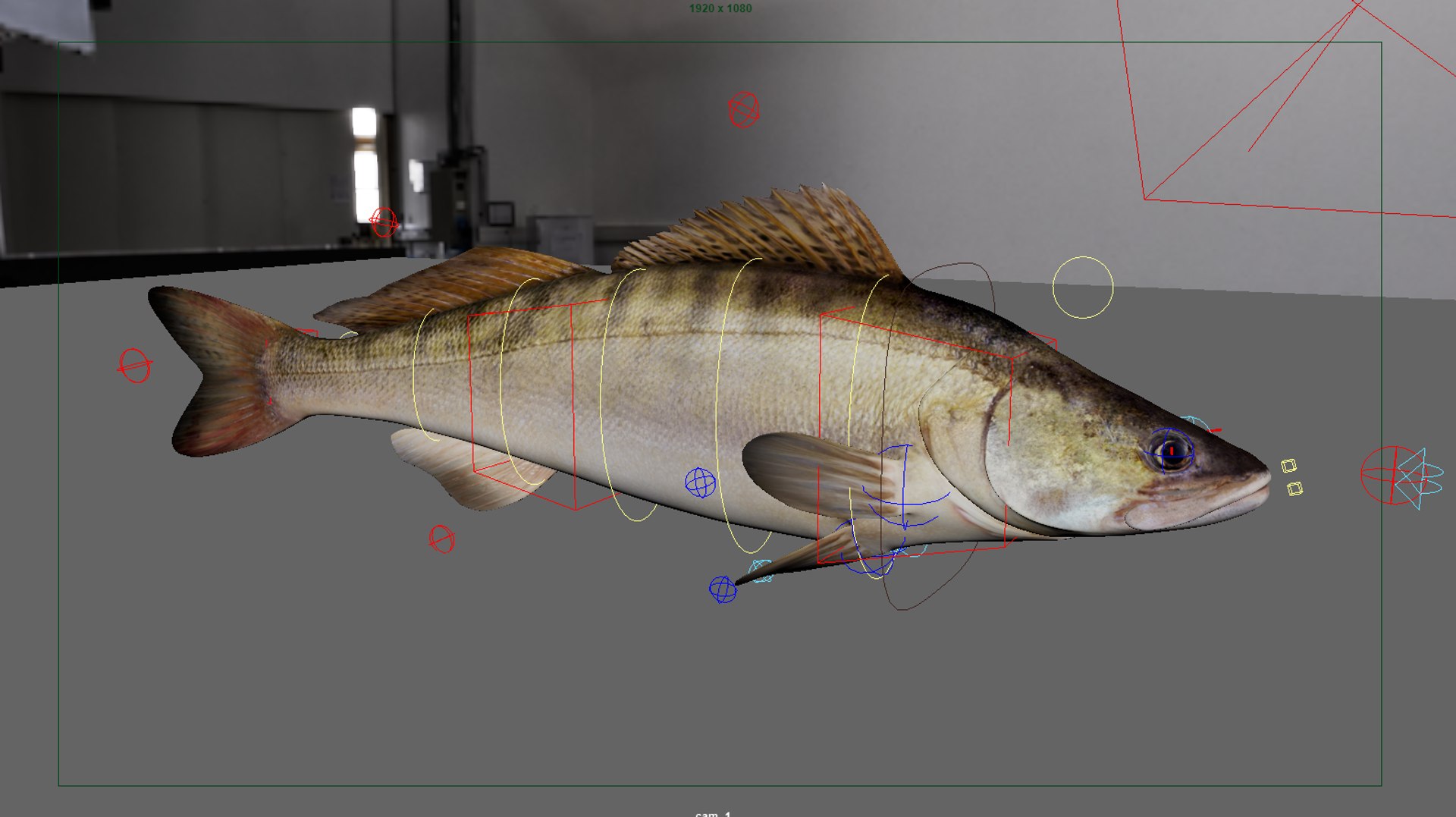 Zander Animated 3D Model - TurboSquid 2400936