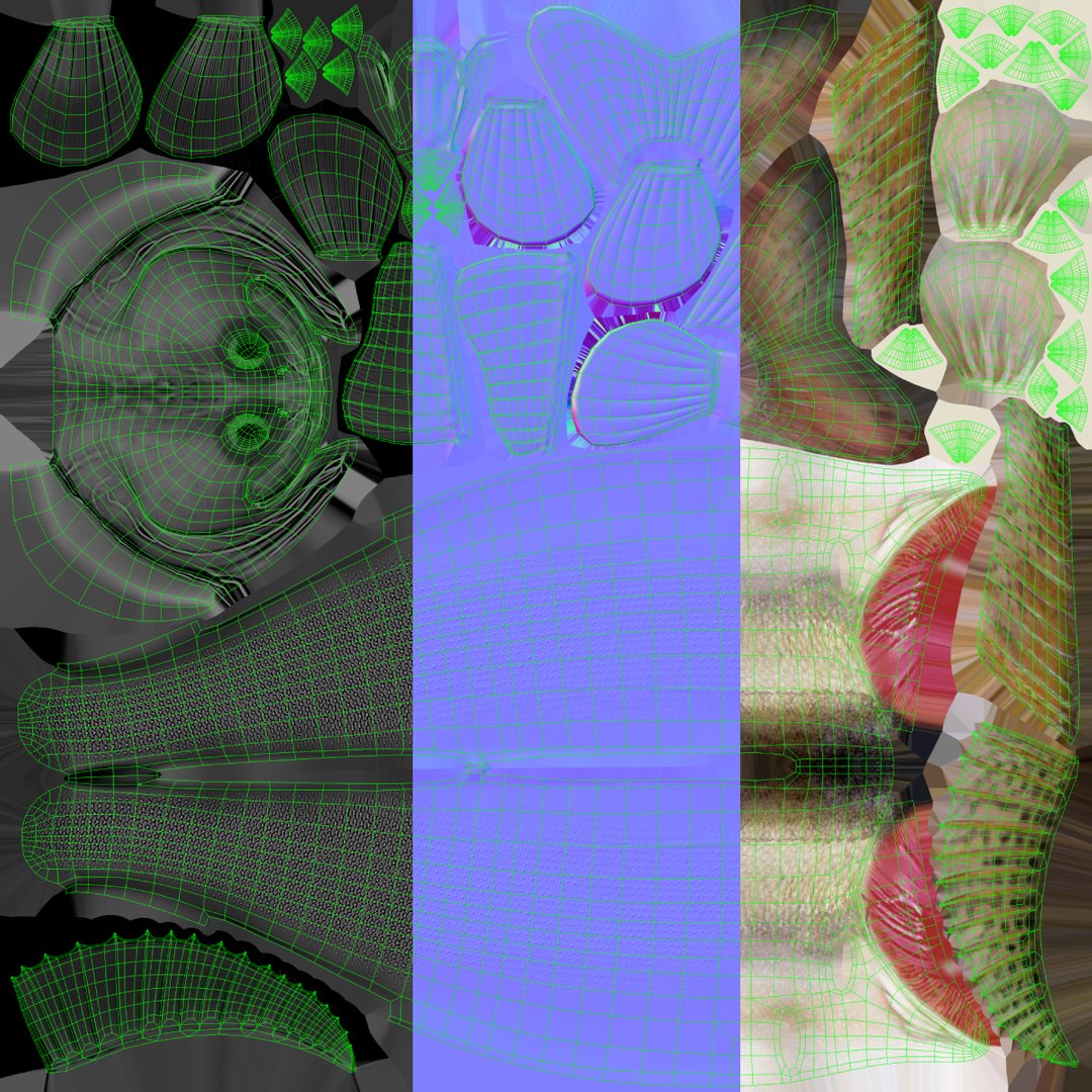 Zander Animated 3D Model - TurboSquid 2400936