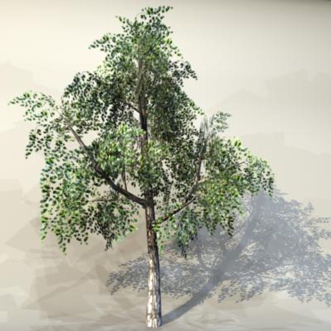 3d model pc tree