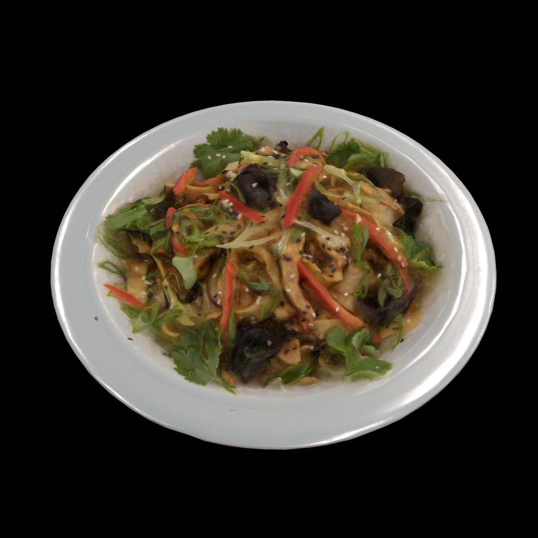 Scan plate chinese noodles 3D model - TurboSquid 1327043