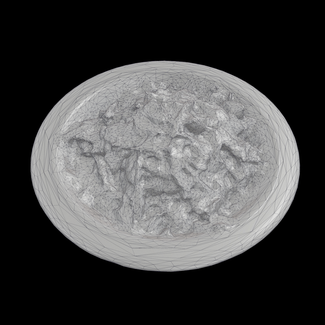 Scan plate chinese noodles 3D model - TurboSquid 1327043