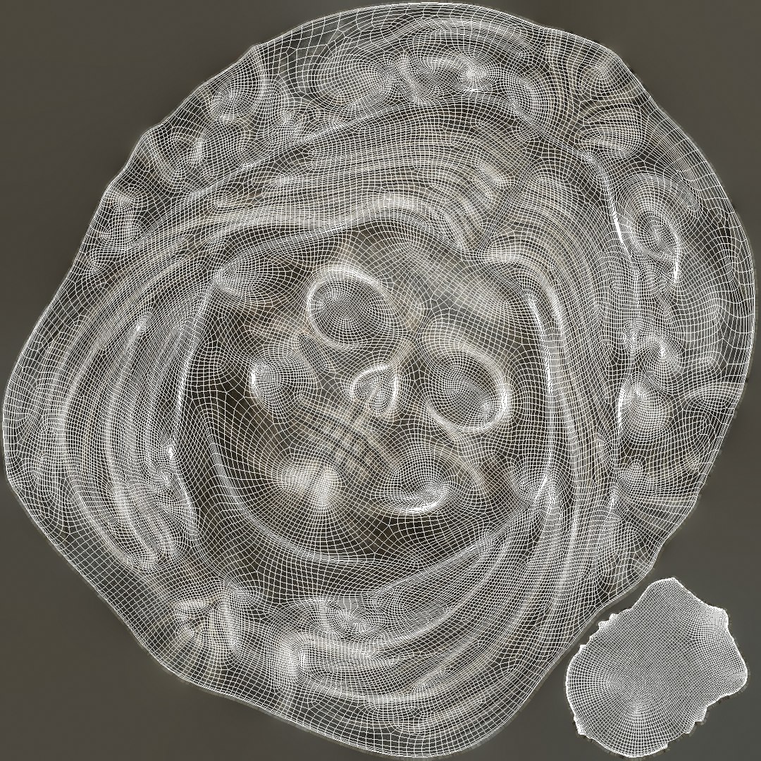 3D Skull 24 Textured - TurboSquid 2308563