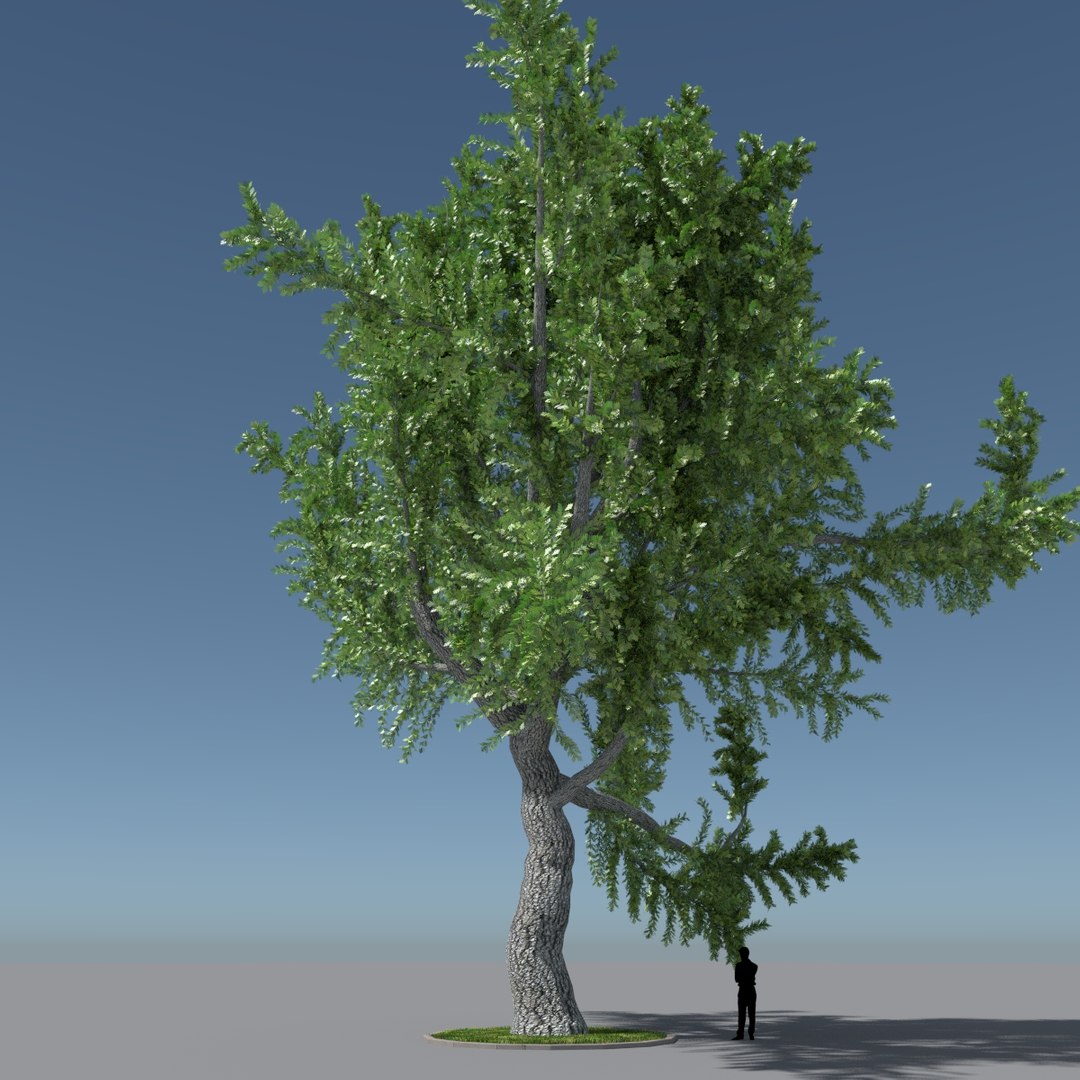 Free Max Mode Tree Oak V6