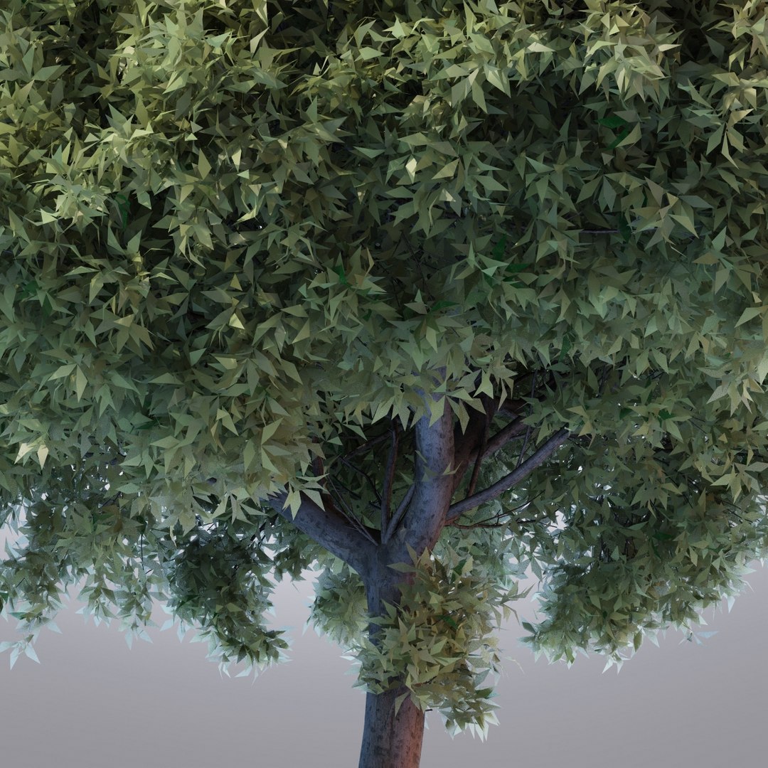 hi realistic series tree obj