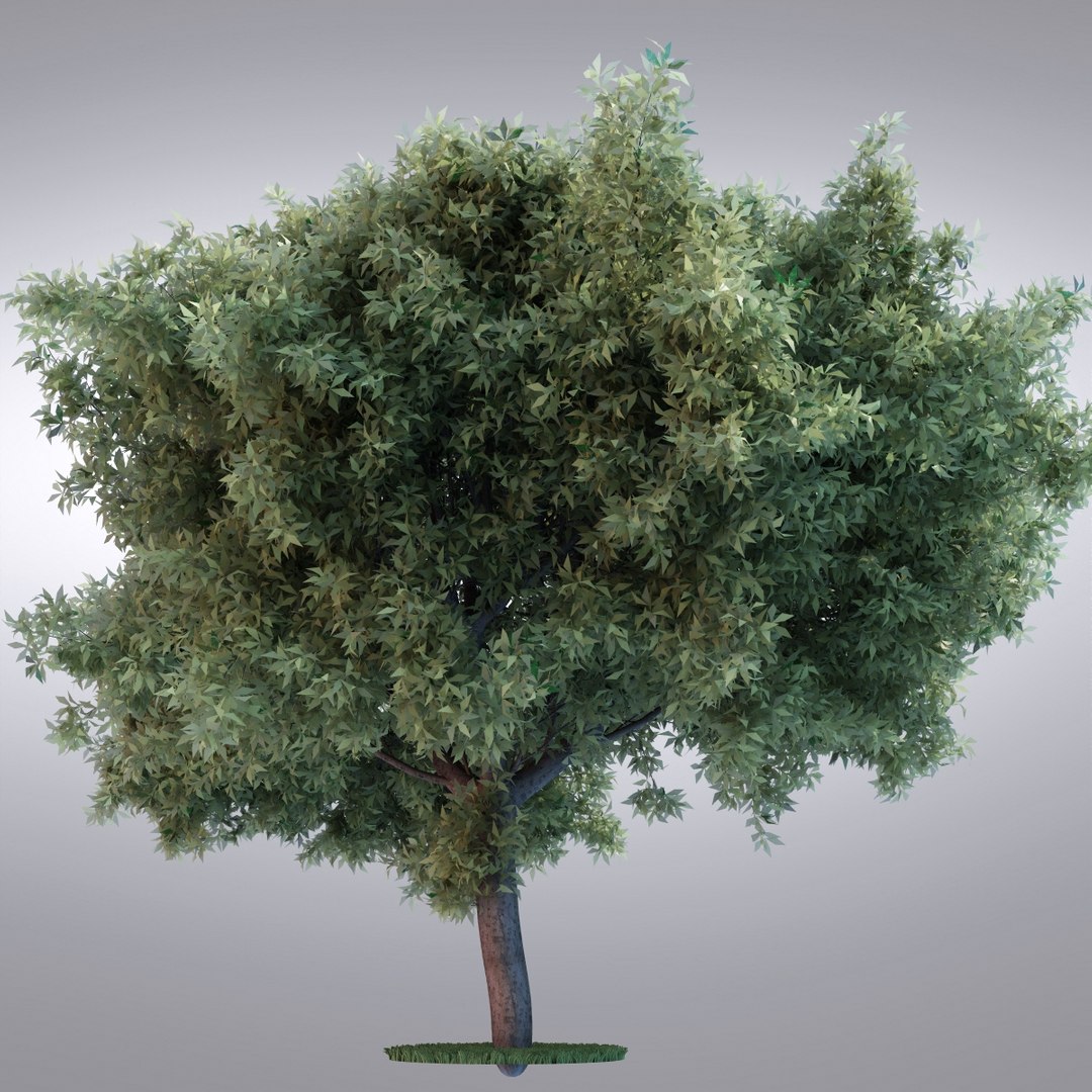 hi realistic series tree obj