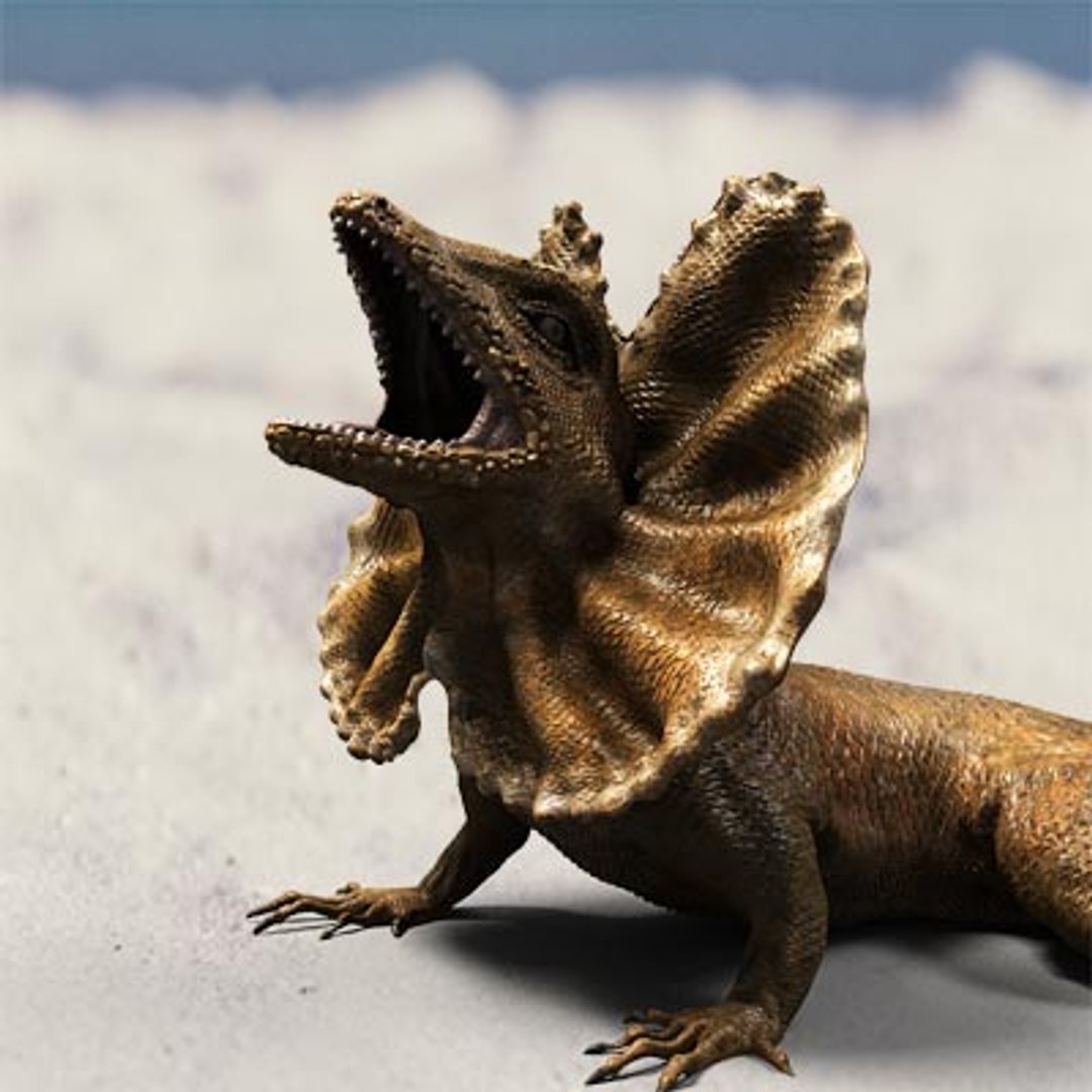frilled lizard 3d model