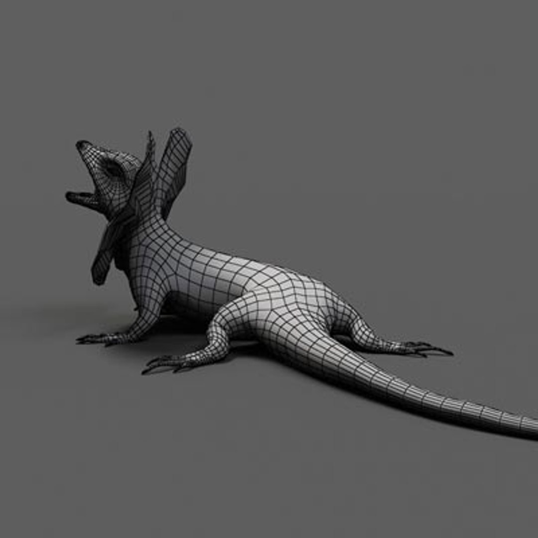 frilled lizard 3d model