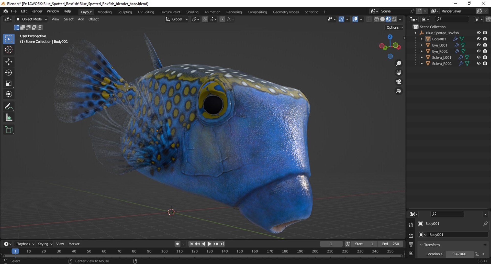 Blue Spotted Boxfish Model - TurboSquid 2307835