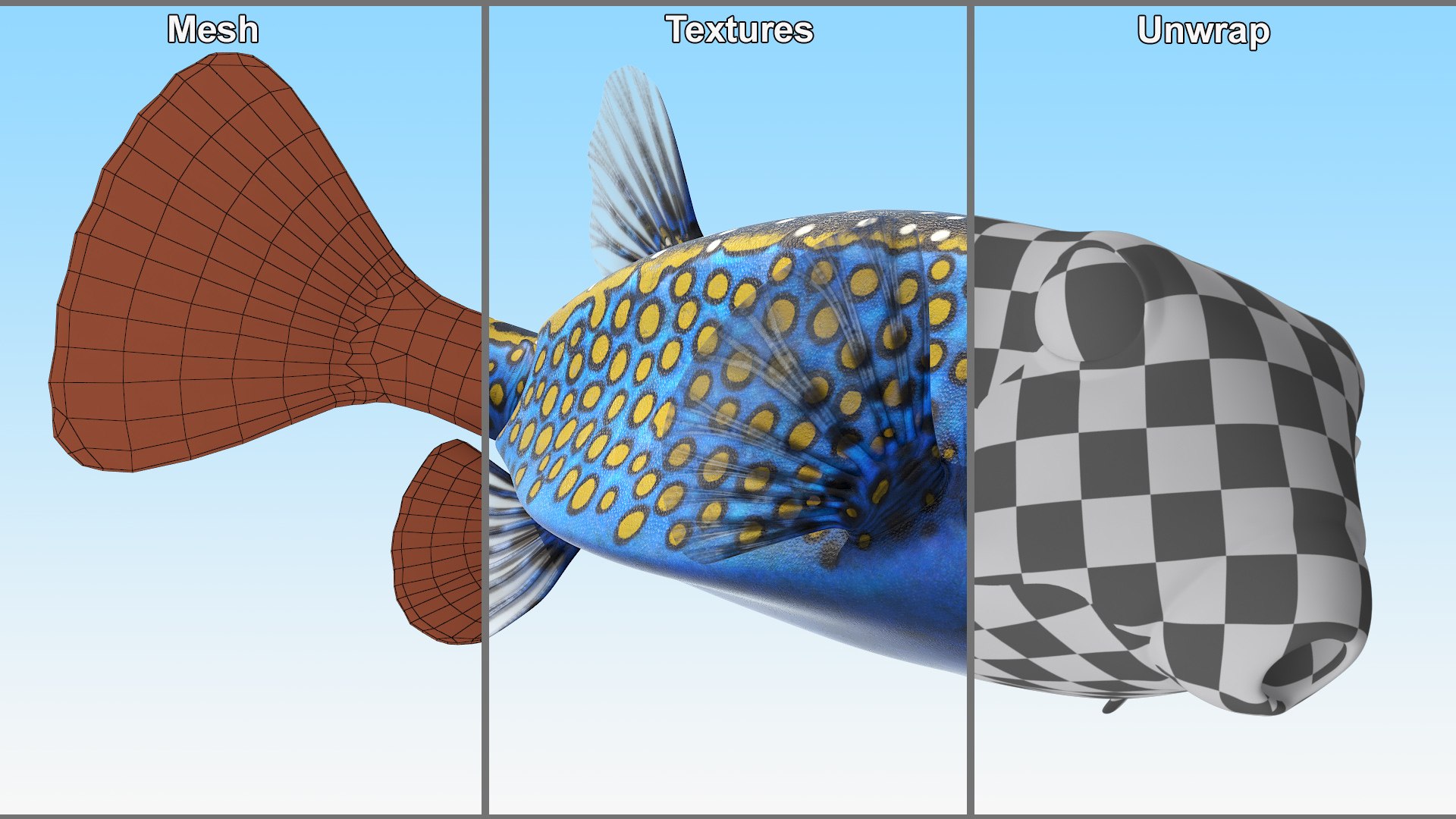 Blue Spotted Boxfish Model - TurboSquid 2307835