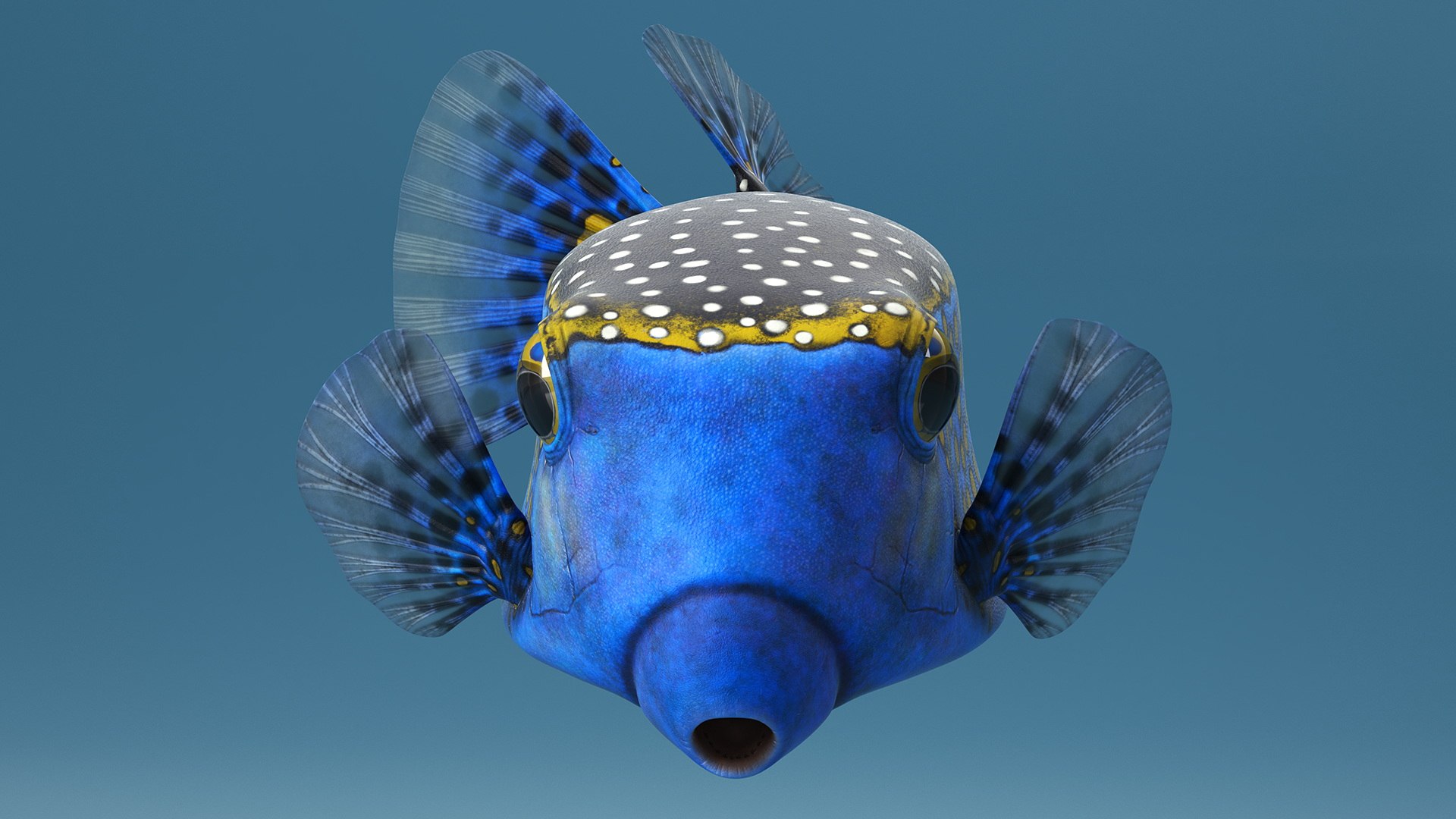 Blue Spotted Boxfish Model - TurboSquid 2307835