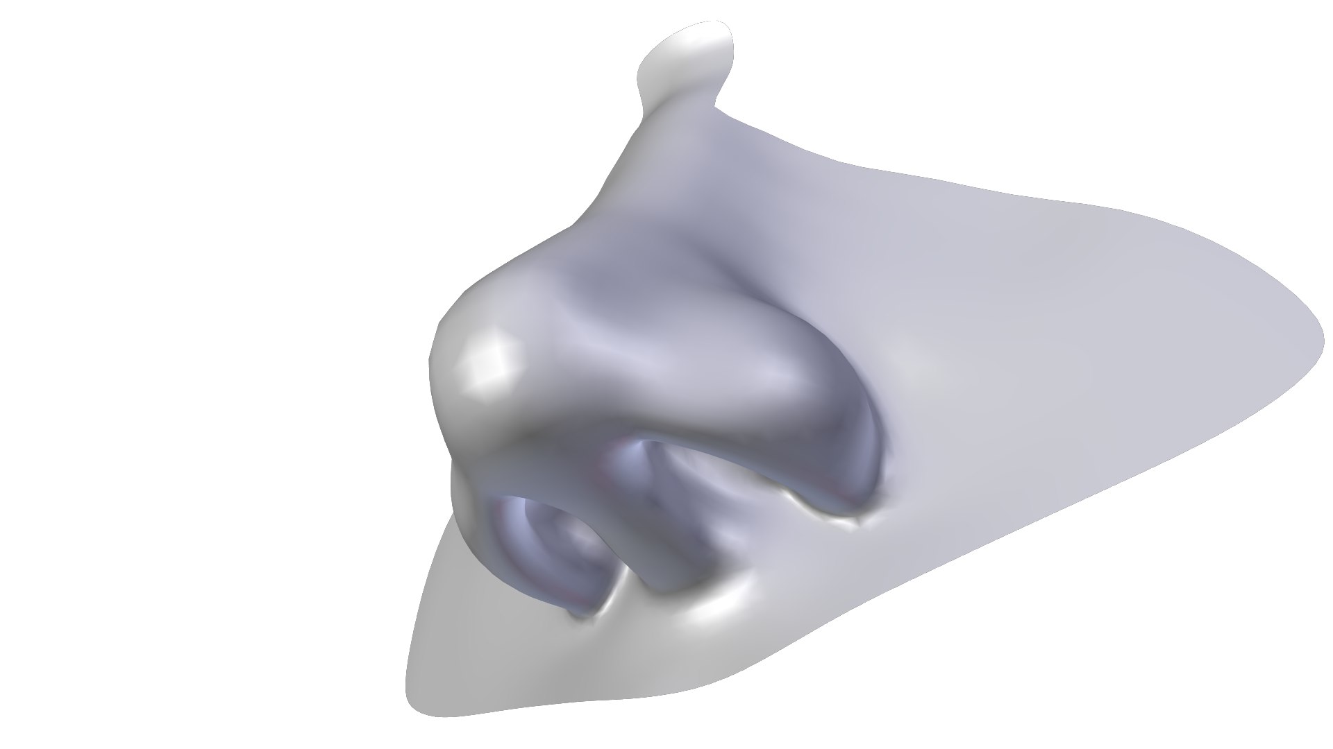 Human Nose Resolution 3D - TurboSquid 1393068