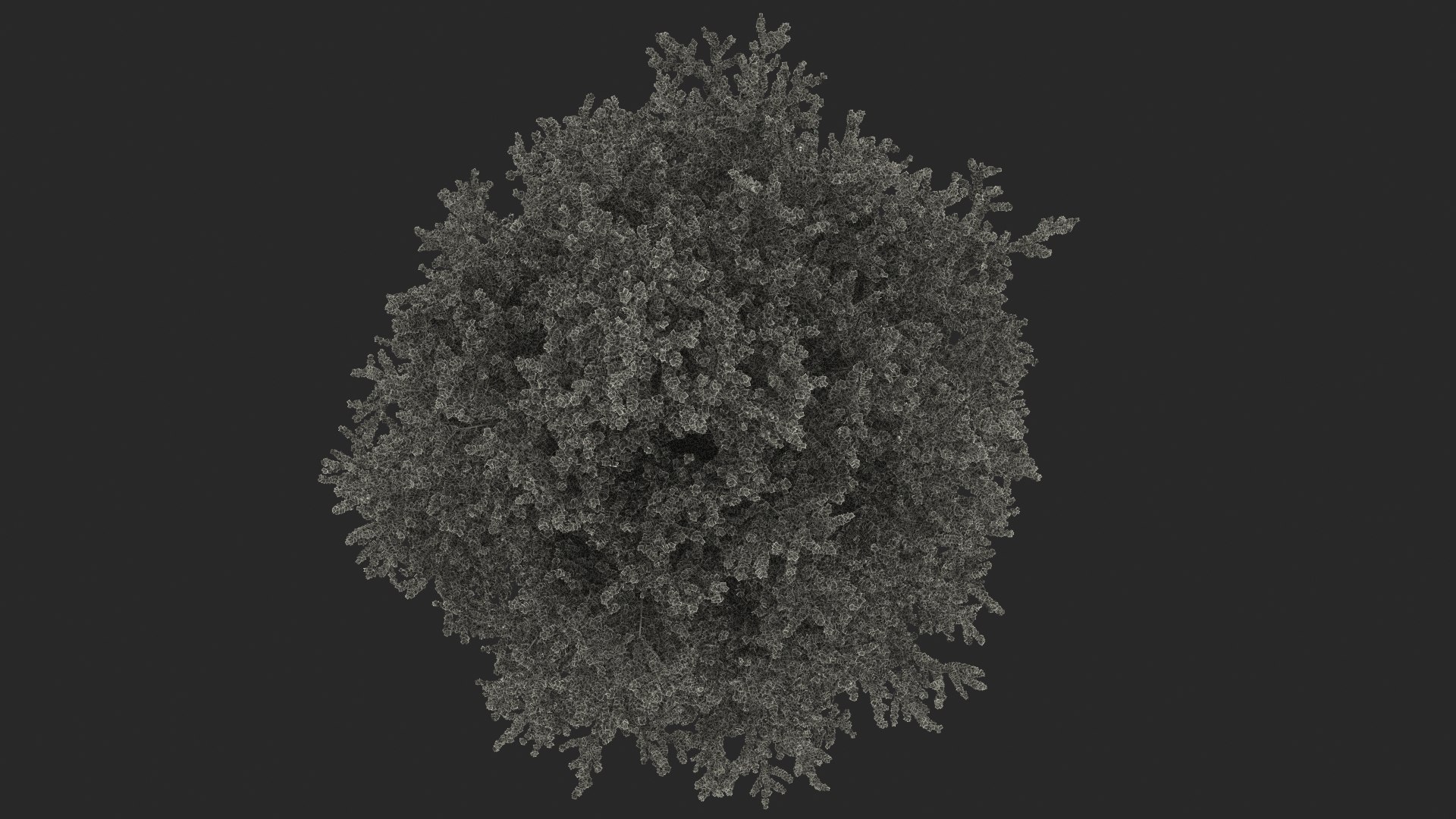 3D Green Japanese Larch Tree with Cones model - TurboSquid 1860959
