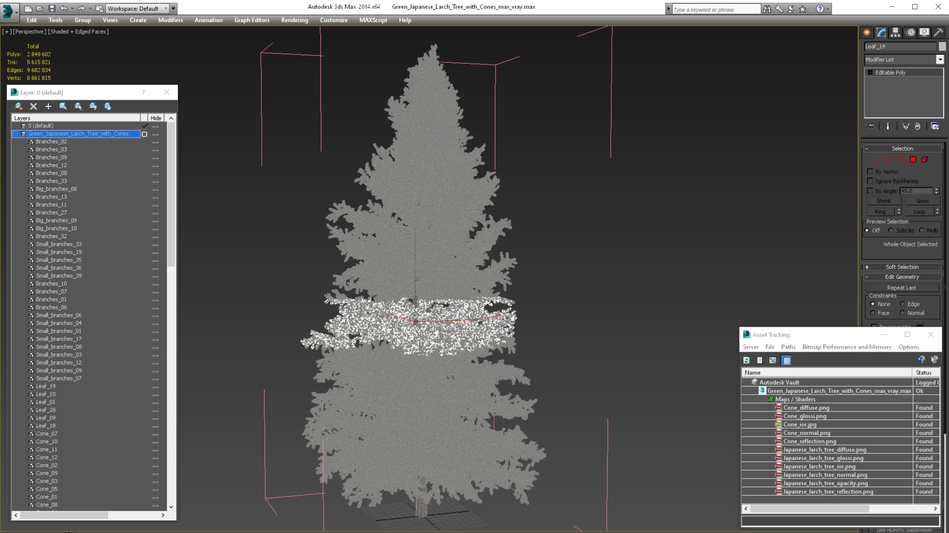 3D Green Japanese Larch Tree with Cones model - TurboSquid 1860959