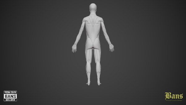 modelo 3d PERSONAJE RIGGED MASCULINO HUMANO REFERENCIA ÓRGANOS INTERNOS ...