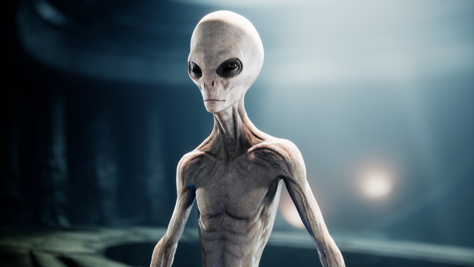Alien - Grey - Unreal Engine Support 3D Model - TurboSquid 2129503