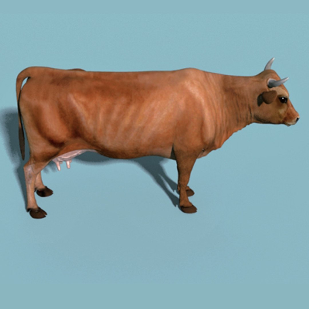 Cow Max