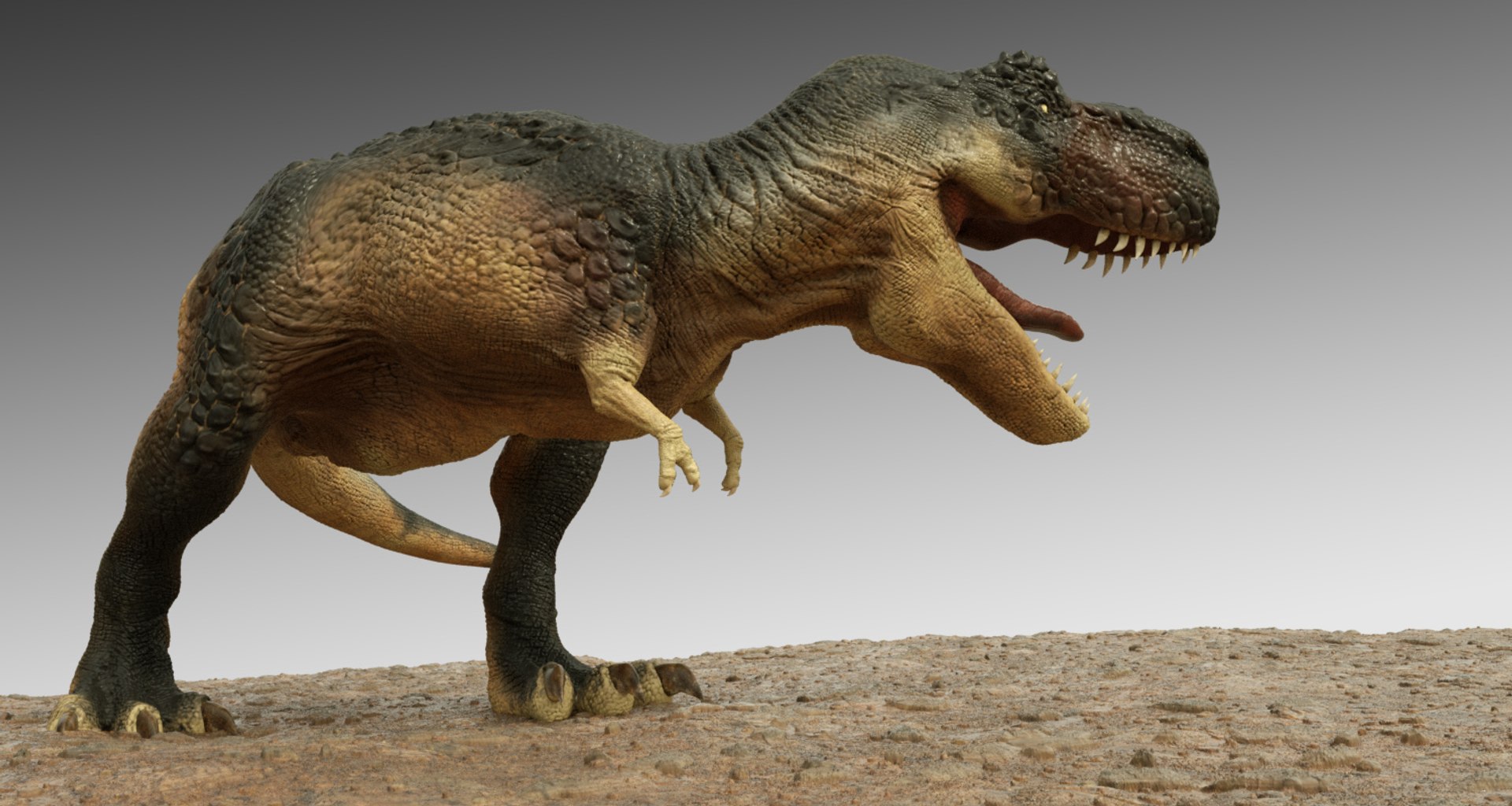 T-rex Animation 3d Obj