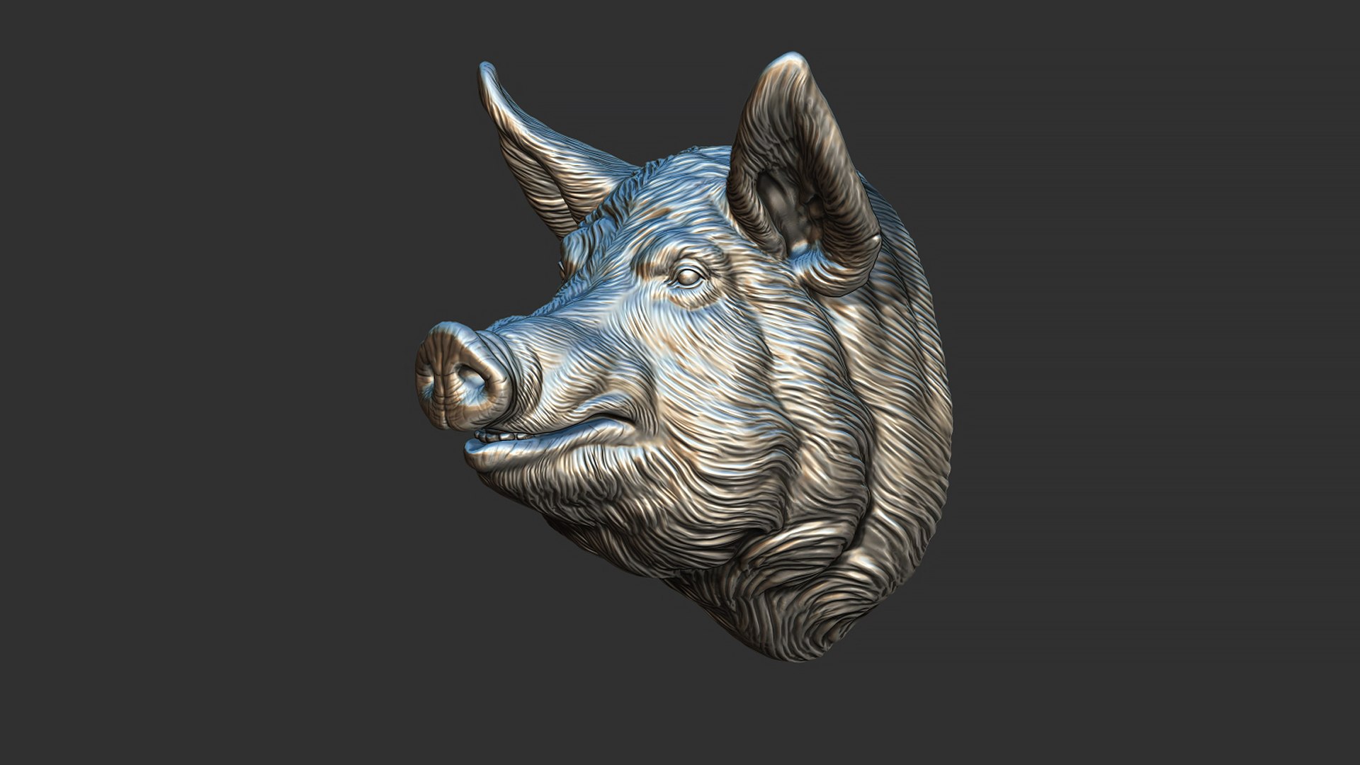Pig head 3D - TurboSquid 2074103