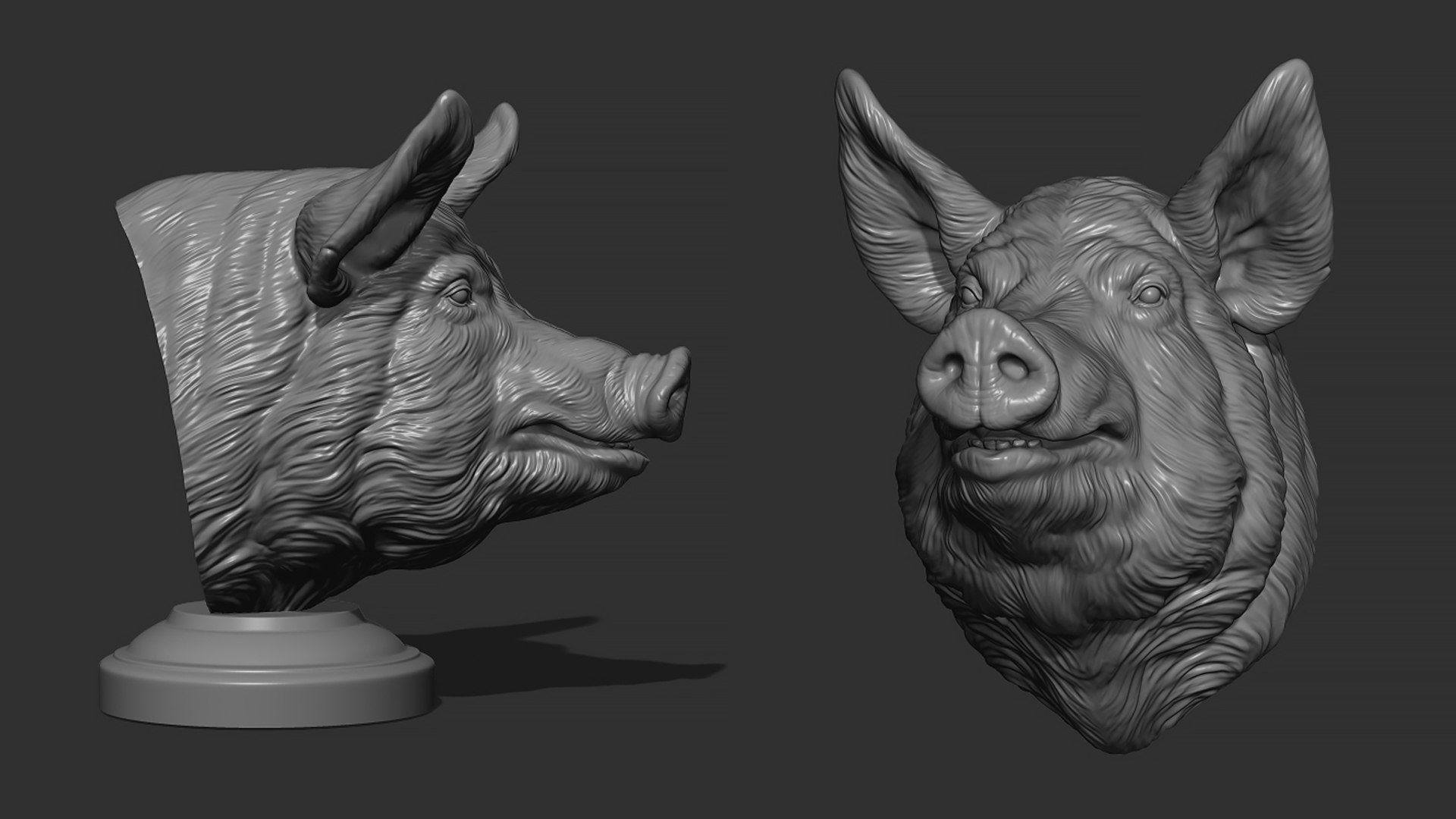 Pig head 3D - TurboSquid 2074103