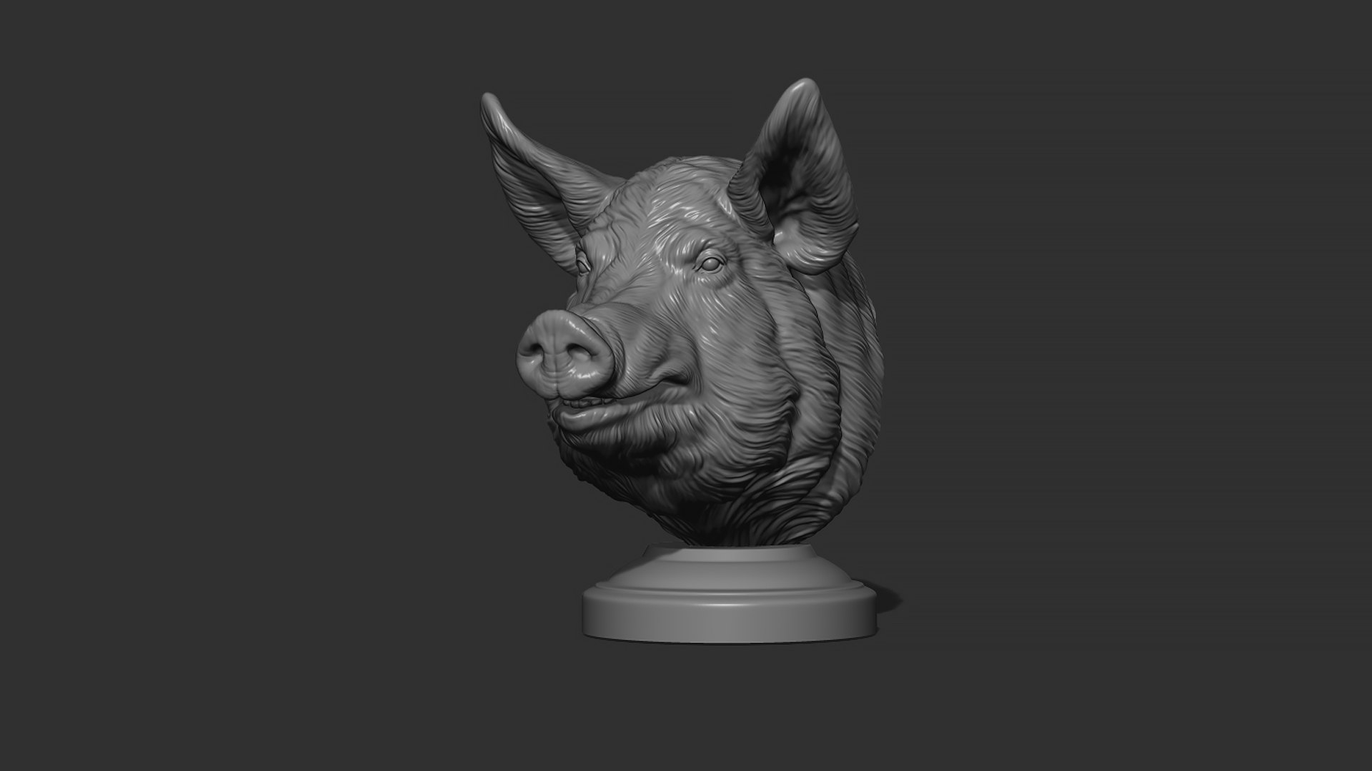 Pig Head 3D - TurboSquid 2074103