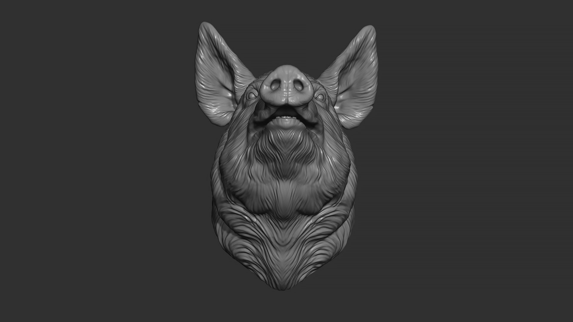 Pig Head 3D - TurboSquid 2074103