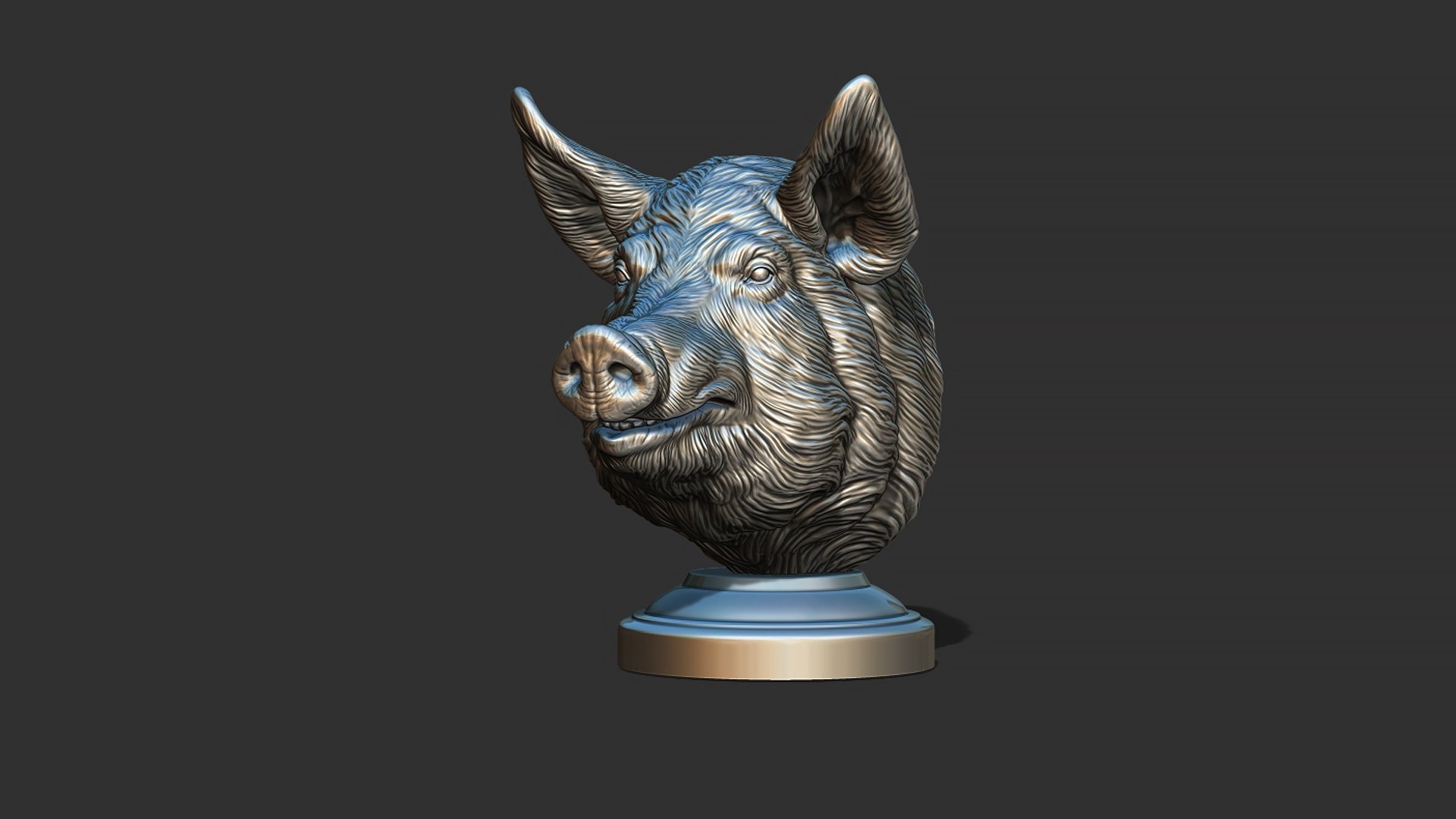 Pig head 3D - TurboSquid 2074103