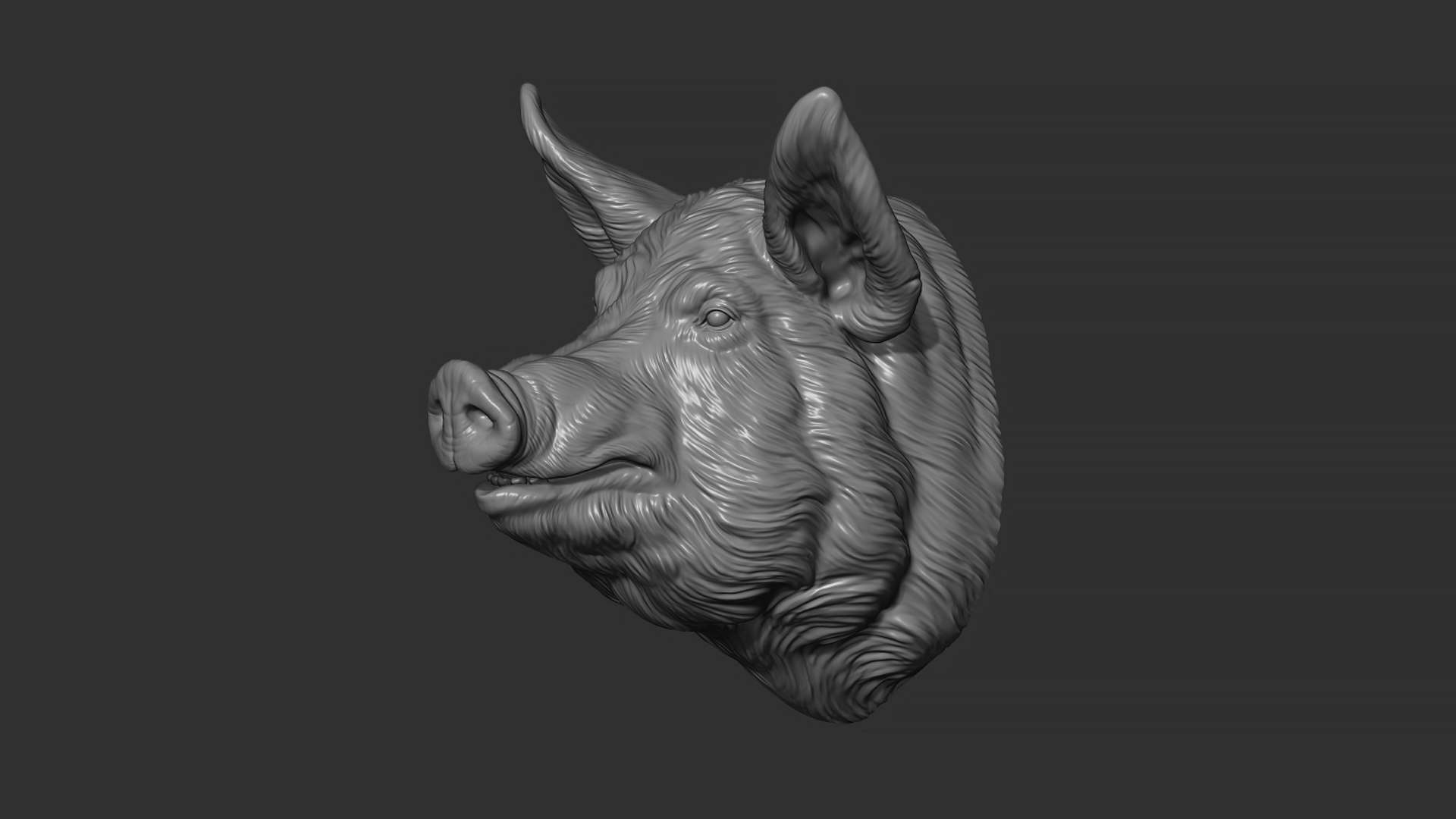 Pig head 3D - TurboSquid 2074103