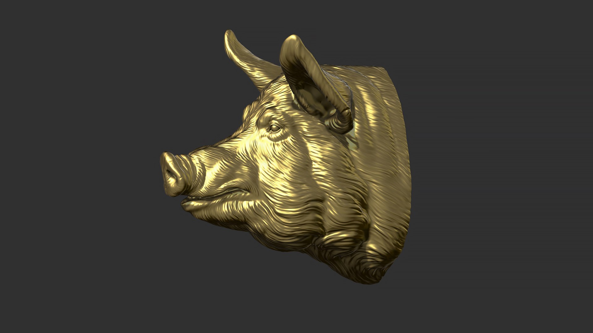 Pig head 3D - TurboSquid 2074103