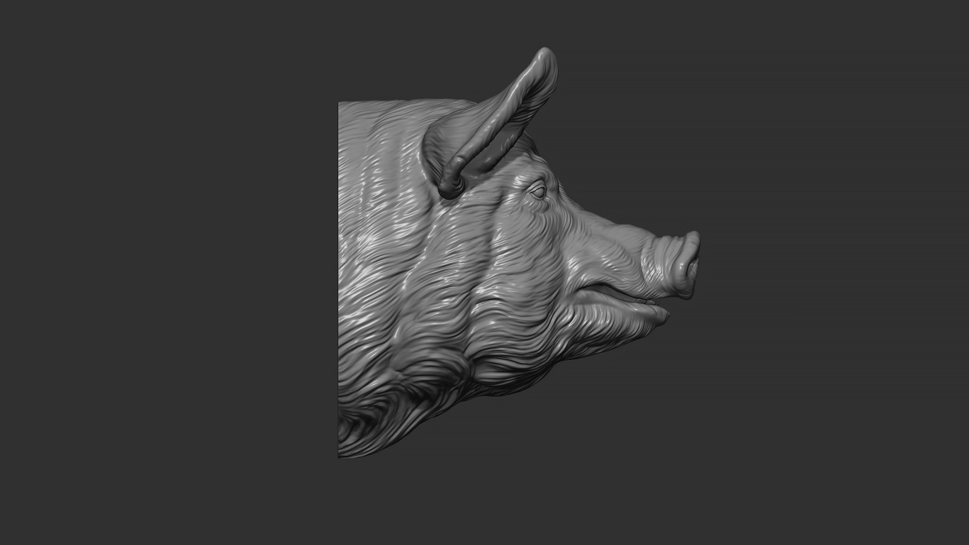 Pig Head 3D - TurboSquid 2074103