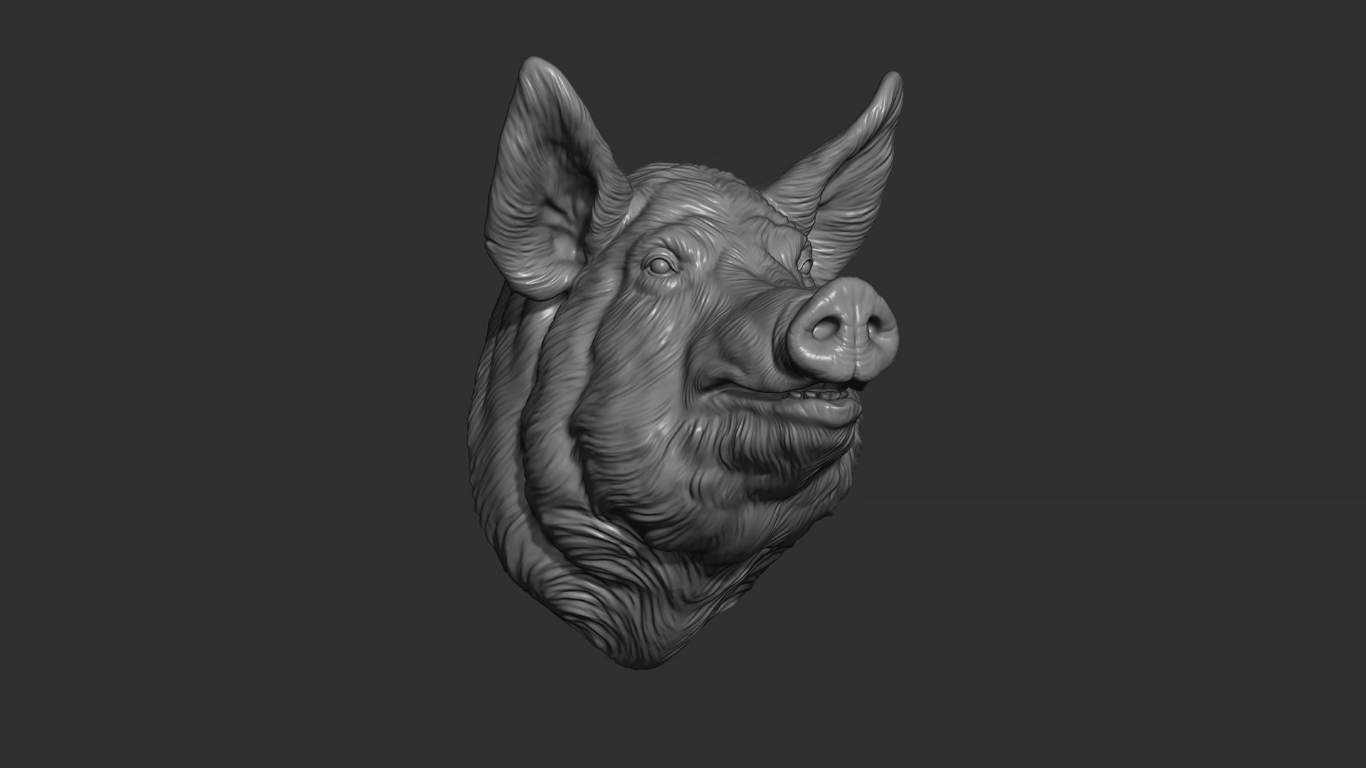 Pig Head 3D - TurboSquid 2074103