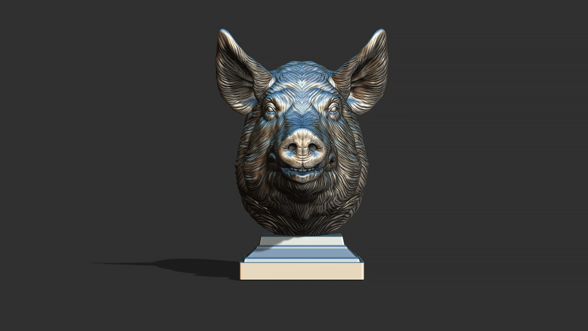 Pig head 3D - TurboSquid 2074103