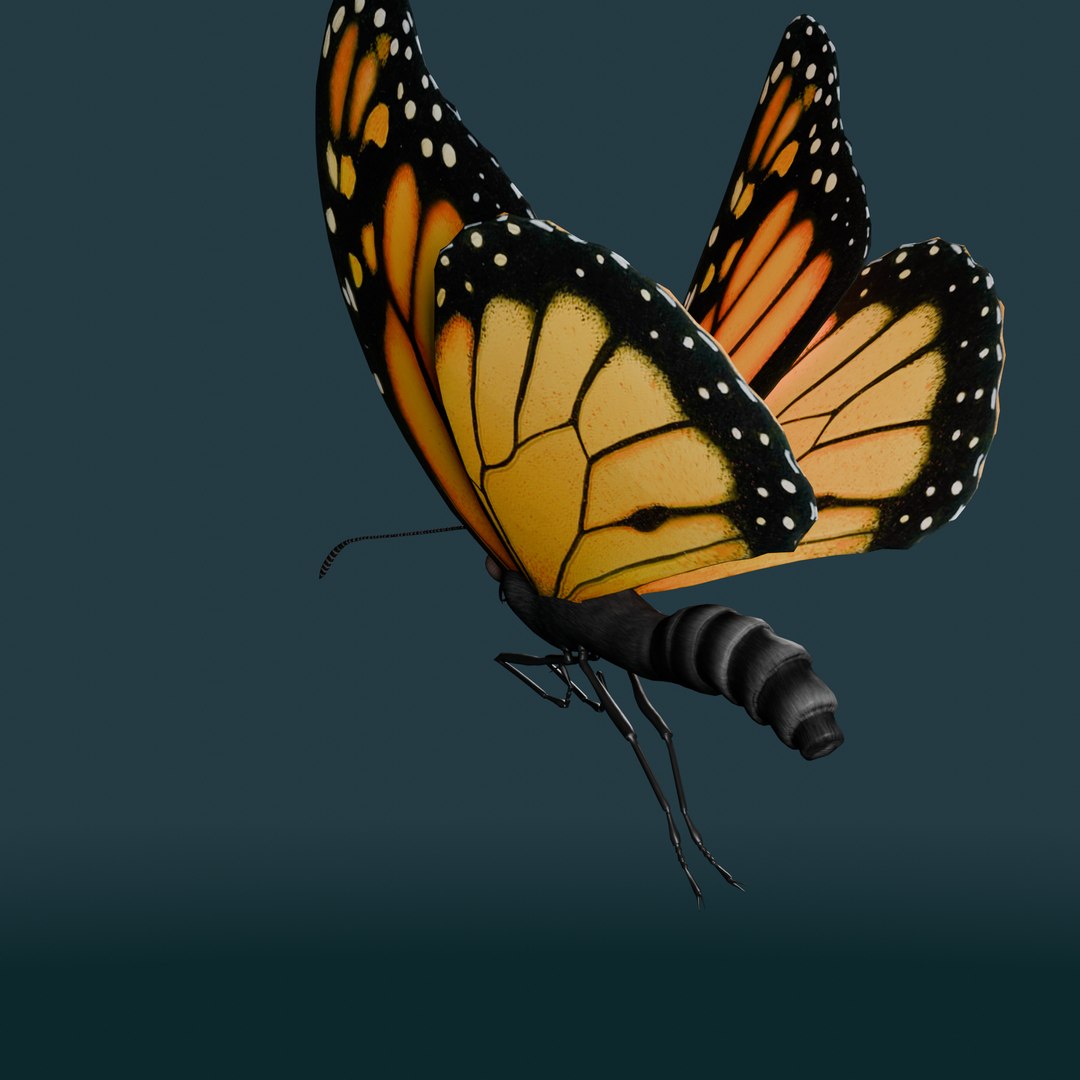 Butterfly Insect 3D Model Model - TurboSquid 2337362