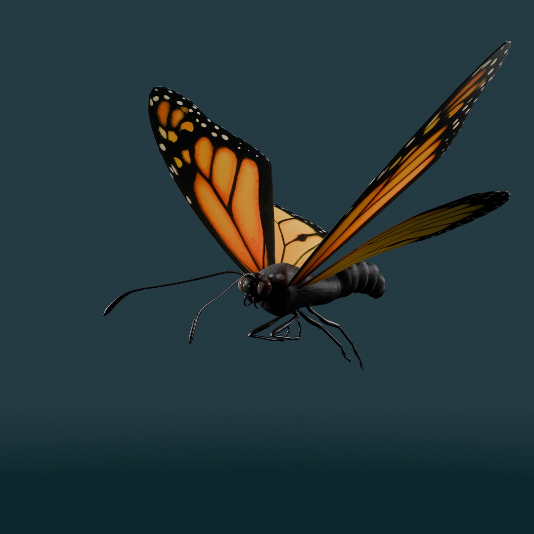 Butterfly Insect 3D Model Rigged Animated Model - TurboSquid 2337362