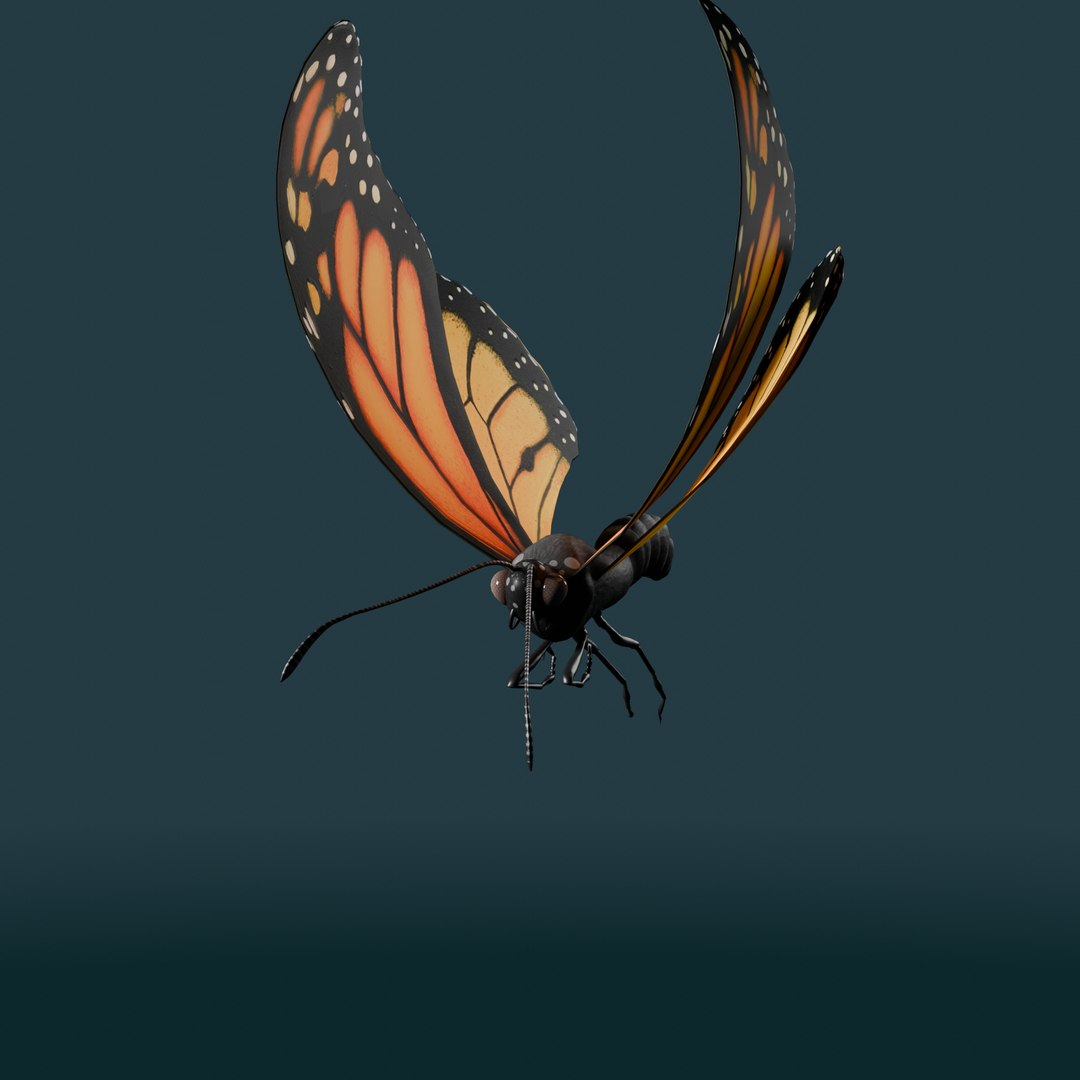 Butterfly Insect 3D Model Rigged Animated Model - TurboSquid 2337362