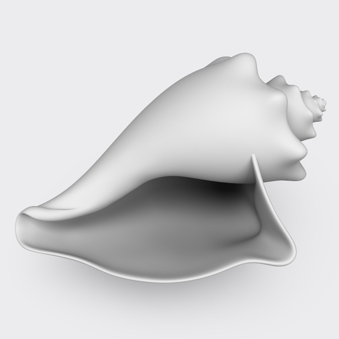 volema cochlidium seashell 3d max