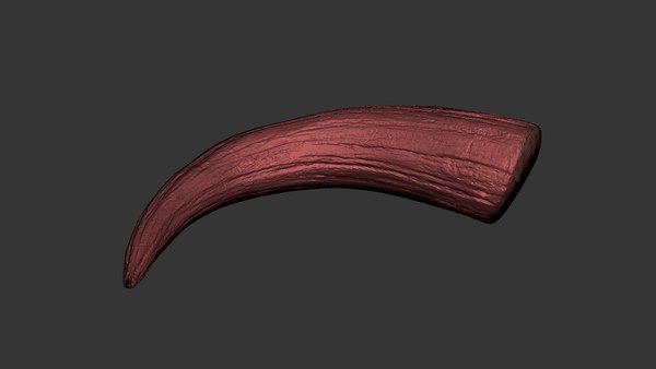 Bull Horn Highpoly Sculpt 3D model - TurboSquid 1809069