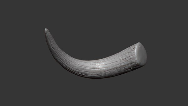 Bull Horn Highpoly Sculpt 3D model - TurboSquid 1809069